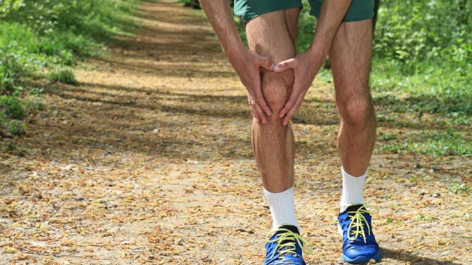 Knee joint anatomy