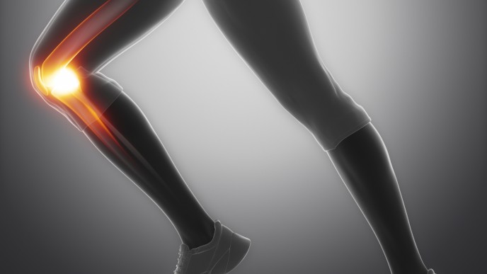 Ruptured medial collateral ligament of the knee